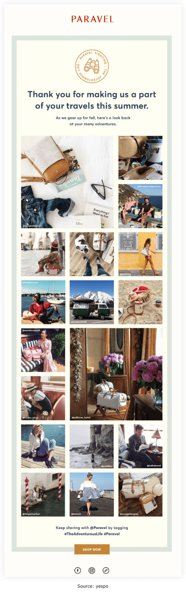 65+ Thank you Email Subject Lines [Examples] | NotifyVisitors