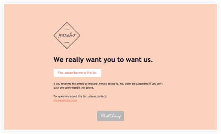 17 Best Opt in Email Examples & Best Practices to Grow Email List (2023)